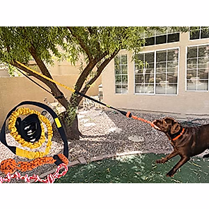 Dog Bungee Toy 20.35 ft Reinforced Interactive Toy with Two Replacement Rope Toys - Dog Rope Toys Interactive Toys