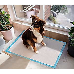 BESTLE Pet Training and Puppy Pads Pee Pads for Dogs 22"x22" Super Absorbent & Leak-Proof