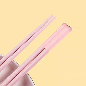 5 Pairs Fiberglass Chopsticks Pink Japanese Korean Chopsticks Reusable Non-Slip Chopsticks Dishwasher Safe, 9.6 Inches Long, 5 Patterns