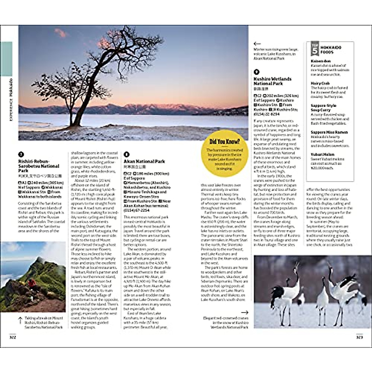 DK Eyewitness Japan (Travel Guide)