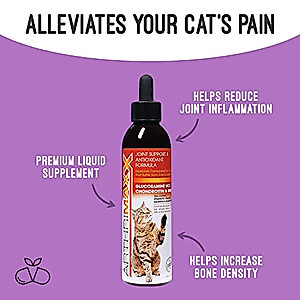 ArthriMaxx Cat Supplement for Joints, Liquid Drops, Anti-Inflammatory, Glucosamine & Chondroitin, for Joint Conditions, Chicken Flavor, 4 Month Supply