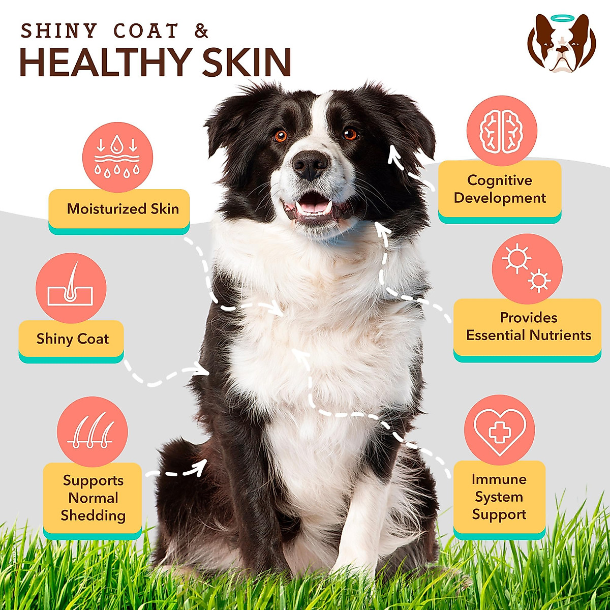 Natural Dog Company Skin & Coat Chews, Salmon & Peas Flavor, Dog Vitamins and Supplements for Healthy Skin & Coat, Itch Relief for Dogs with Allergies, with Biotin, Vitamin E, Omega 3, Antioxidant
