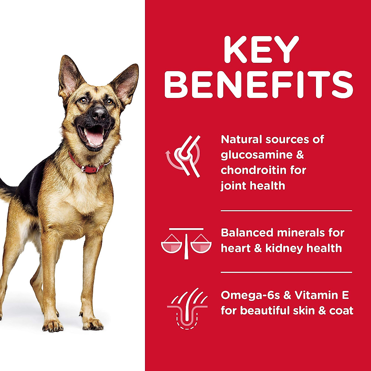 Hill's Science Diet Dry Dog Food, Large Breed Adult 6+ Senior, Chicken, Barley & Rice Recipe, 33 lb. Bag