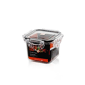 gotman Airtight Food Storage Container With Lid (15.6 oz) - Leak-Proof Lunch Box | BPA-Free | Meal Prep | Microwave, Freezer and Dishwasher Safe | Kitchen Fridge Organizer Boxes | Fresher Food