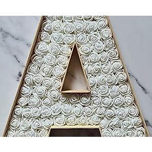 22cm Wooden Fillable Letter A, Fillable Letters & Numbers Shapes