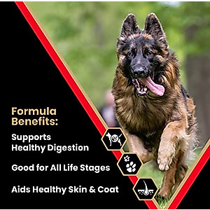 VICTOR Super Premium Dog Food – High Energy Dry Dog Food for Active Dogs – Gluten Free Dog Food with Beef and Chicken Meal Proteins for Sporting Dogs – All Breeds and All Life Stages, 5 lb