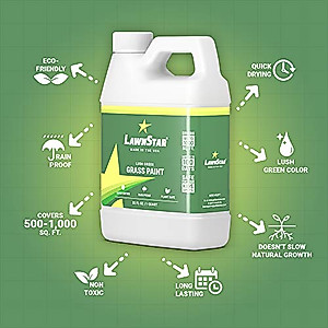 Grass Paint Concentrate (500-1,000 sq ft) - for Dormant, Patchy or Faded Lawn - Lush Green Turf Colorant (32 fl oz)