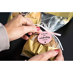 Graduation Stickers,Thank You for Celebrating with Us Stickers,Pink Princess Celebrating Label Stickers for Baby Bridal Wedding Shower,Anniversary Celebration,Graduation,Holiday Party,2 inch 160-Pack