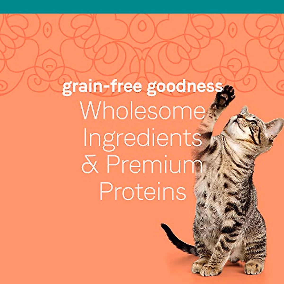 Canidae Adore Premium Wet Cat Food, Morsels with Salmon and Whitefish in Broth, 2.46 Ounce (Pack of 24), Grain Free