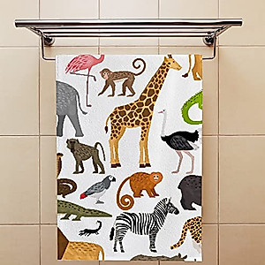 Hand Towel 2 Pack African Animal Birds Giraffe Monkey Tropical Fingertip Towel Face Towel Kitchen Tea Bar Dish Cloths Absorbent Dry Shower Towel