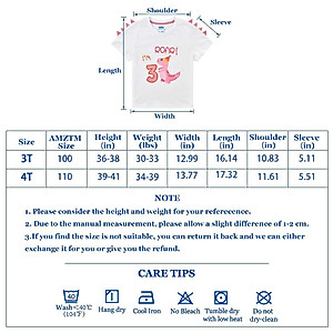 AMZTM 3rd Birthday Girl T-Shirt Dinosaur Party B-Day Themed Tee Gift for Toddler (US, Age, 4 Years, White)