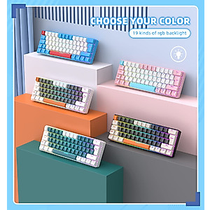 LexonElec T60PRO 60% Mechanical Keyboard and Mouse Combo+Coiled USB C Cable, Compact RGB LED Backlit Keyboard, Linear Red Switch, 6400 DPI Programmable RGB Mouse for PC Mac Gamer(Blue&White)