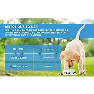 Infinite Health Labs Bio-Active Bovine Colostrum for Dogs, Cats, Puppies, Kittens & Pets - Daily Colostrum Powder Supplement 40g (80 Servings)