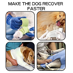 Dog Leg Brace for Small or Short Legs Canine Rear Hock Support, Helps Promote Healing and Prevents Injuries and Sprains Helps with Loss of Stability Caused by Arthritis