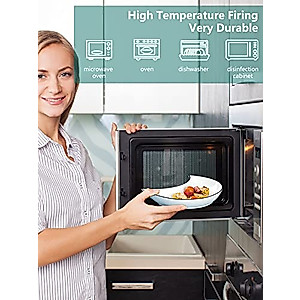 Plates and Bowls Sets,5 PCS Moon Dinner Plates Household/Hotel Porcelain Dish Set,White Ceramic Dinnerware Sets for Salad/Snack/Dessert/Appetizer, Microwave Oven and Dishwasher Safe Scratch Resistant