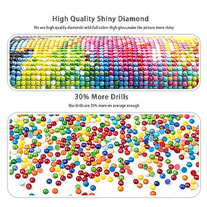 DCIDBEI Diamond Painting Kits 4 Pack 12x16inch Sexy Diamond Painting Angel Diamond Art Women Sexy Rose Diamond Painting for Adults Women Fairy Diamond Painting Art Sexey Woman Trippy Diamond Painting