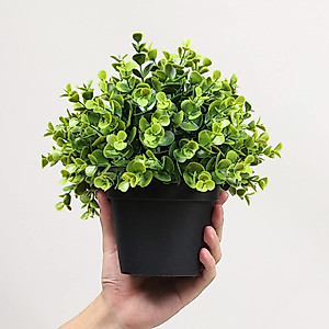 FELICIGG 2 Pack Artificial Plants in Pot, Faux Potted Greenery Plant for Indoor Decorations, Small Fake Plastic Plant for Home Office Garden Decoration,D+d