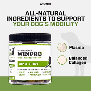 WINPRO | Dog Hip and Joint Supplement, Plasma-Powered Chews for Joint Support in Dogs of All Breeds and Sizes, Fast Acting with Collagen, 60 Count, Made in USA