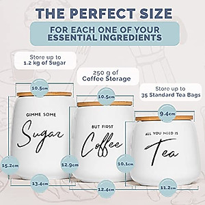 FIFTH FORK Canister Sets for the Kitchen - Perfect Kitchen Canisters for Countertop - Set of 3 Kitchen Canisters - Great for Countertop Storage - Ceramic Food Storage Containers