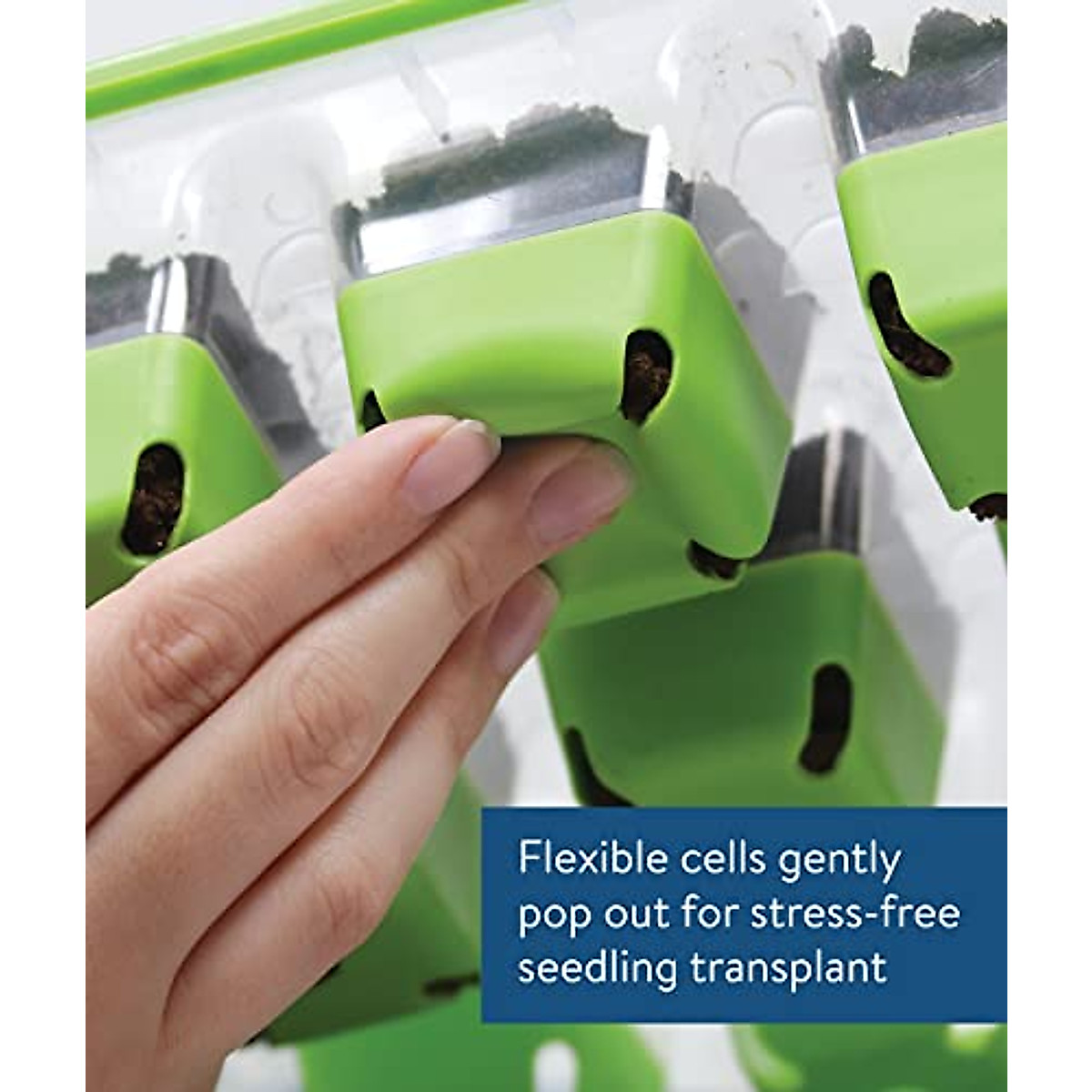 Burpee SuperSeed Seed Starting Tray | 16 XL Cell | Reusable & Dishwasher Safe | for Starting Vegetable Seeds, Flower Seeds & Herb Seeds | Indoor Grow Kit for Deep-Rooted Seedlings