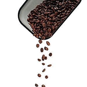 OXO Good Grips Airtight Coffee POP Container (1.5 Qt),Silver/Grey