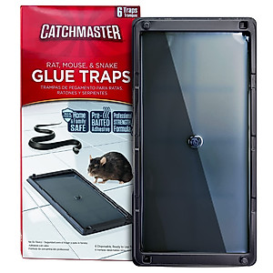 Catchmaster Mouse & Pest Glue Board Bundle, 36 Glue Boards & 6 Pack Large Glue Traps, Rat & Mouse Traps Indoor for Home, Pre-Scented Pest Control