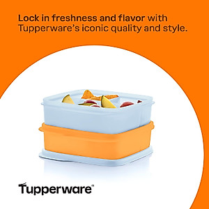 Tupperware Lunch-It Portion & Go Compact 2-Lunch Box Set, Dishwasher Safe and BPA Free (2.3 Cups/550 ml)
