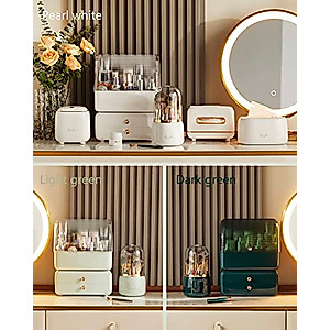 Lebenrich Rotating Makeup Brush Holder Organizer with Lid, Spinning Brush Holder Makeup Organizer with Clear Cover, Acrylic Cosmetics Make Up Brushes Storage Cup Container for Vanity (Light Green)