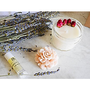 Beets and Apples Happy Birthday Gift Basket, Gift Baskets for Women Birthday Gift Ideas for Women, Natural Spa Gift Basket for Birthday Gifts, Handmade in USA (Happy B-Day)