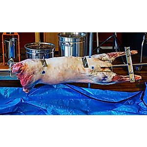 SpitJack Stainless Rotisserie Fork U-Bolt, 5.5 Inches Long Meat Trussing Accessories. 2 Inch Wide Spit Rod Capacity. Rotisserie Parts for Whole BBQ Pig, Hog, Lamb and Turkey. (2 Pack)