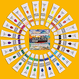 Acrylic Painting Supplies, Acrylic Paint Set Safe Easy Coloring Waterproof User Friendly for Artist