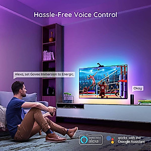 Govee Envisual TV LED Backlights with Camera, DreamView T1 RGBIC Wi-Fi TV Backlights for 55-65 inch TVs PC, Works with Alexa & Google Assistant, App Control, Music Sync TV Lights, Adapter, H6199