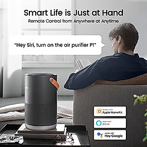 smartmi Air Purifiers for Home, Works with HomeKit Alexa, Smart Air Purifier with Handle, Auto Mode, 19db, 0.08 µm Particles Captured, P1 Dark Grey