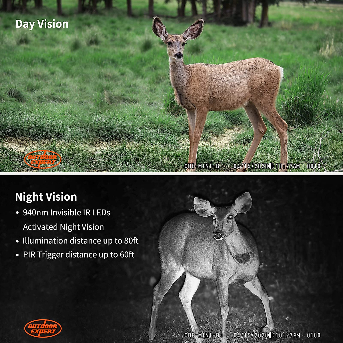 OUTDOOR EXPERT 20MP Mini Trail Camera,1080P Hunting Trail Camera with No Glow 940nm Night Vision Motion Activated IP66 Waterproof,80ft Illumination Range Hunting Game Cam for Wildlife Monitoring