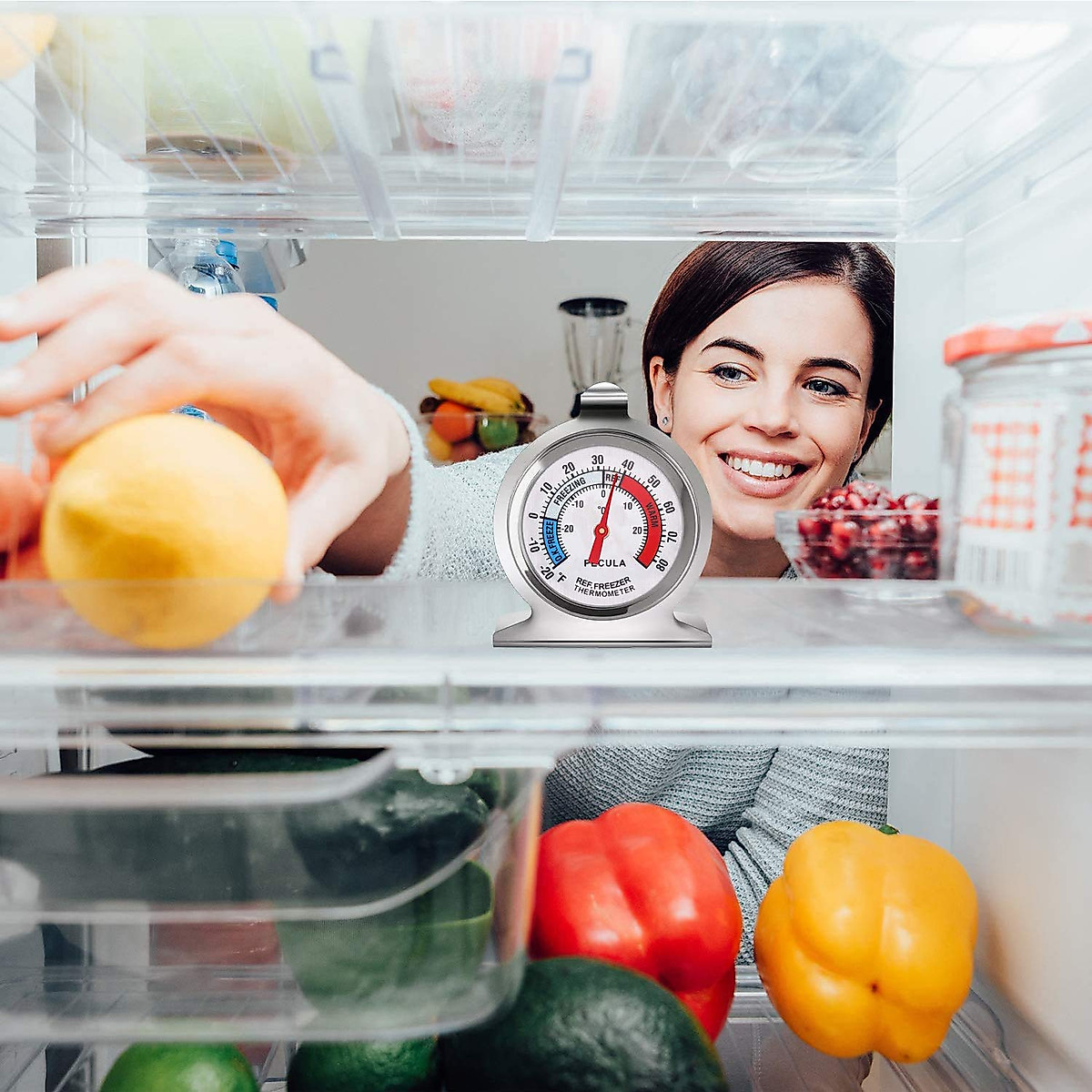 2PACK Refrigerator Thermometer, -30-30 deg C/-20-80 deg F, Classic Fridge Thermometer Large Dial with Red Indicator Thermometer for Freezer Refrigerator Cooler