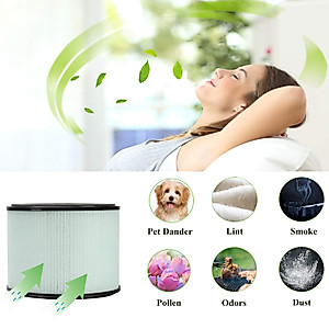 GuanQiao 2 Pack Replacement HEPA Filter Compatible with PARTU BS-08, 3 in 1 Filtration High Efficient Activated Carbon HEPA Filter