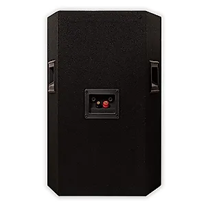 Acoustic Audio by Goldwood Studio Monitor, Black (PA-380X)