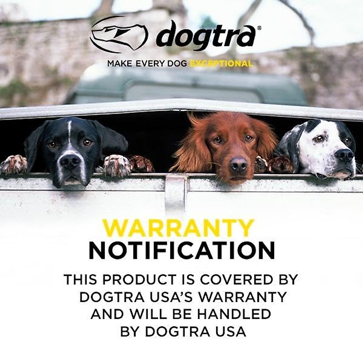 Dogtra E-Fence 3500 In Ground Fence for Dogs Wireless Rechargeable Collar 40-Acre Vibration Outdoor Underground Wire Electric Dog Fence