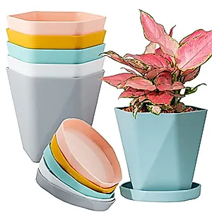 bisenwin Plant Pots Indoor Plastic Flower Pots Outdoor 5 inch Set of 6 Pack with Drainage Holes and Saucers for Garden pots (5 inch 6 pcs)