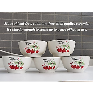 5 Pack Ceramic Bowls With Cherry Pattern, 4.64" x 2.36" Porcelain Bowls, Salad Bowls Ramen Bowls for Kitchen Restaurant Serving Bowls, Large Capacity Ceramic Bowls, Dishwasher Safe & Microwave Safe