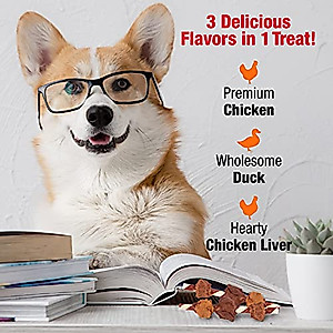 Good'n'Fun Triple Flavored Rawhide Kabobs for Dogs, Beef, 12 ounces