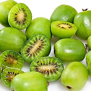 Hardy Kiwi Seeds Actinidia Arguta Seeds Perennial GMO Free Fragrant Showy Fruit & Berries Climber Trellises Fences Pergolas Outdoor 10Pcs Fruit Seeds by YEGAOL Garden