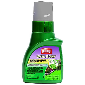 Ortho Weed B Gon Chickweed Concentrate Clover & Oxalis Killer for Lawn (Case of 6), 16 oz