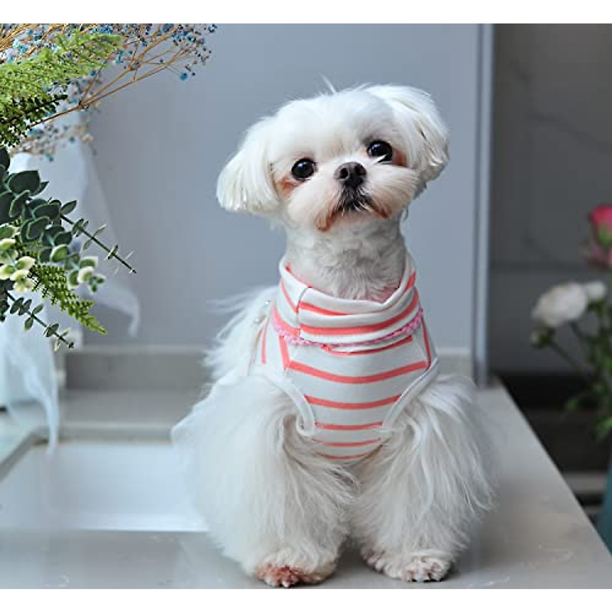 MSNFOASM Pet Dog Pink Stripe Dog Dress,Dog Tutu Lace Skirt Wedding Dress for Small Girl Dogs Cats（Pink Stripe M）