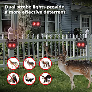 X-PEST Solar Coyote Deterrent Deer Repellent Devices, Outdoor Nocturnal Animal Repeller for Raccoon Skunk Fox with Predator Lights for Chicken Coop, Farm, Garden, Yard (4 Pack)