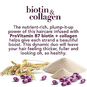 OGX Thick & Full Biotin & Collagen Shampoo, Salon Size 25.4 Ounce Bottle w/ Pump, Paraben Free, Sulfate Free, Sustainable Ingredients, Nourishing and Strengthening