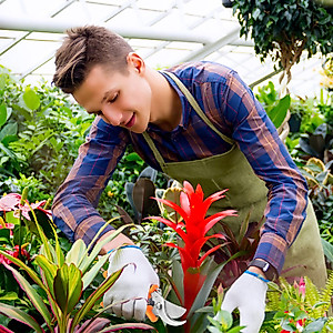 Lituford 3Pcs Garden Tools Set Hand Shovel Kit Trowel/Planting Shovel/Pruning Clippers with Non-Slip Rubber Grip Taking Care of The Indoor Plants Garden Trowel Gifts for Gardening Lovers (Orange)