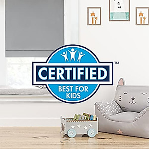 Eclipse Drew Noise Reducing Blackout Cordless Lined Window Roman Shade for Living Room, 31 in x 64 in, Ivory