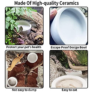 Reptile Food Water Bowl Set Lizard Feeder Ceramics Bowls Worm Live Fodder Container for Bearded Dragon Chameleon Lizard Hermit Crab Gecko Tortoise Spider Pet 3 Pieces