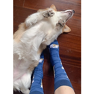 ANTI BASIC Novelty Crew Vintage Car Socks Gift for Retired Old Men（fits men shoe size 7-12）（corgi）